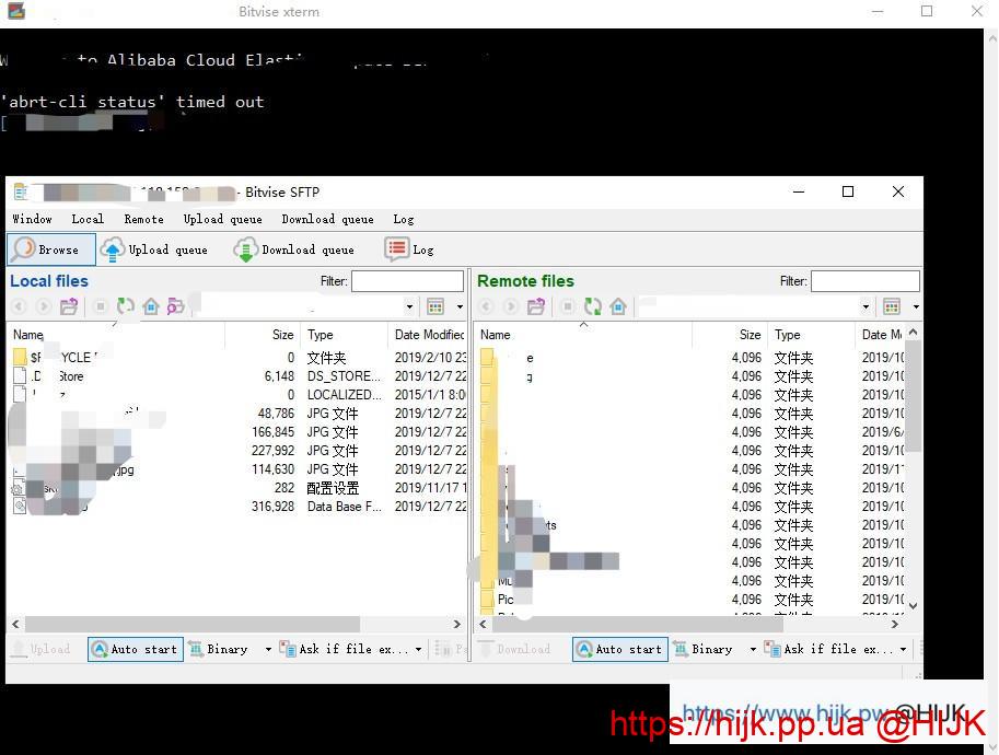 Bitvise连接Linux服务器教程 - V2ray XTLS黑科技