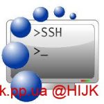 Bitvise连接Linux服务器教程 - V2ray XTLS黑科技