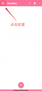 NekoBox for Android使用教程 - V2ray XTLS黑科技