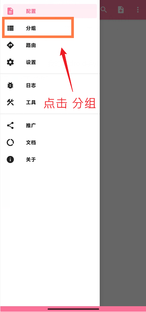 NekoBox for Android使用教程 - V2ray XTLS黑科技