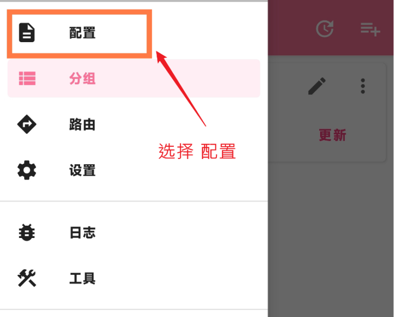NekoBox for Android使用教程 - V2ray XTLS黑科技