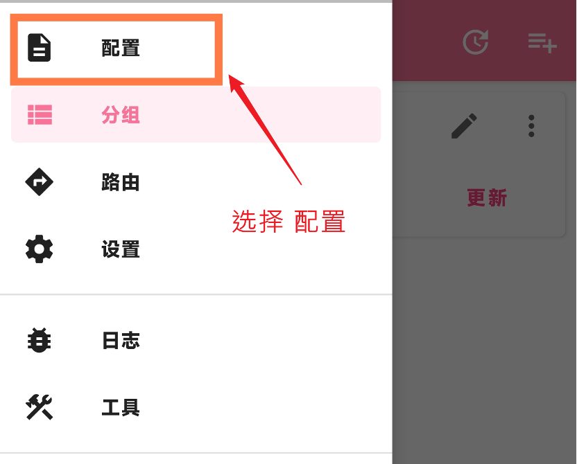 NekoBox for Android使用教程 - V2ray XTLS黑科技
